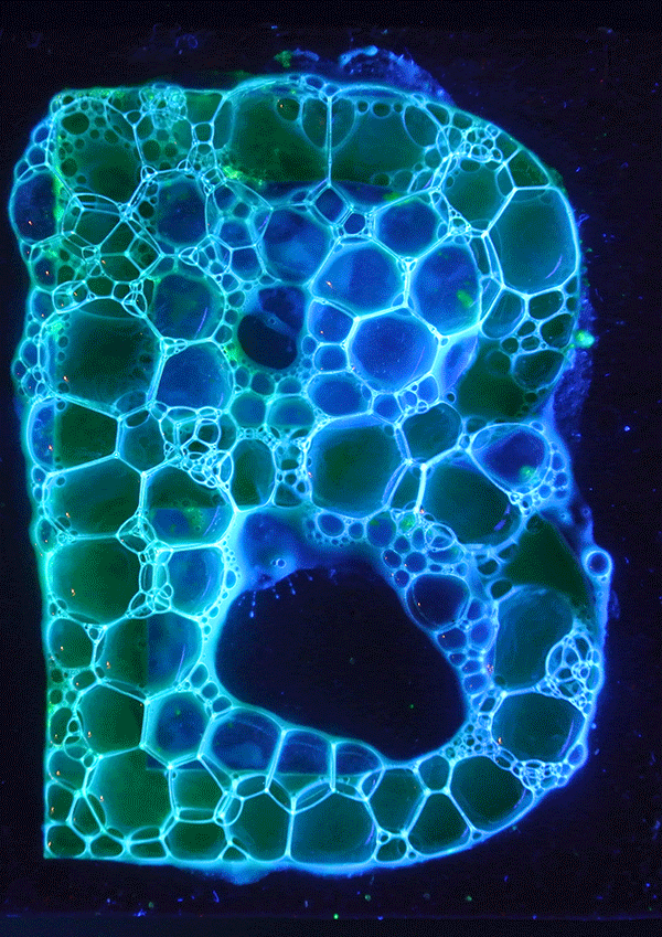 B/Experiment | EXPERIMENTAL TYPOGRAPHY