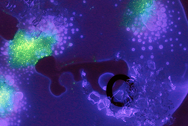 physical typography | EXPERIMENTAL TYPOGRAPHY