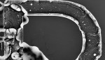 R/Photogram Study | EXPERIMENTAL TYPOGRAPHY